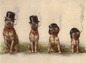 Pip Sees a Pug – in the Kitchen – Teagan's Books