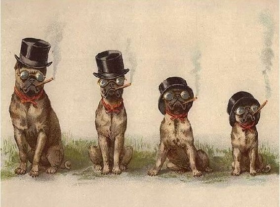 Jazz Age Wednesdays 10 ― Pip Sees a Pug – Teagan's Books