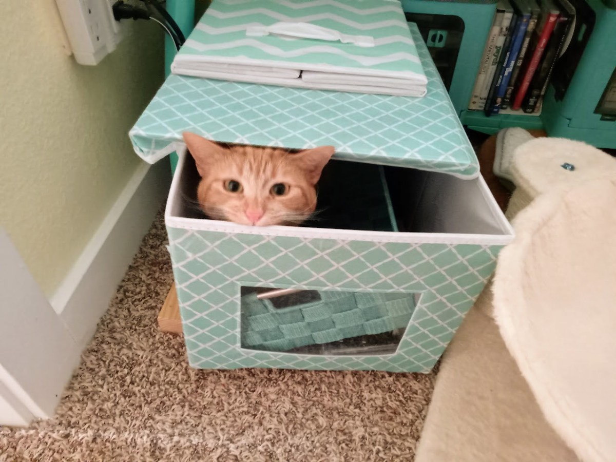 Weekend Serial, Characters – Teagan's Books