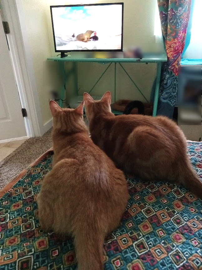 Whatnot Wednesday with the Scoobies: October – Teagan's Books